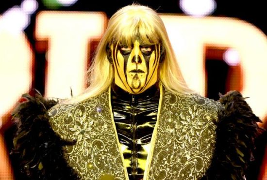 Goldust: WWE wrestling legend Media Man Int